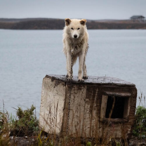 Calgary Arts Development | AIR 2024 | Home